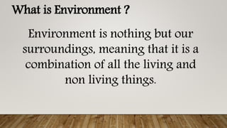 What is environment | PPTX