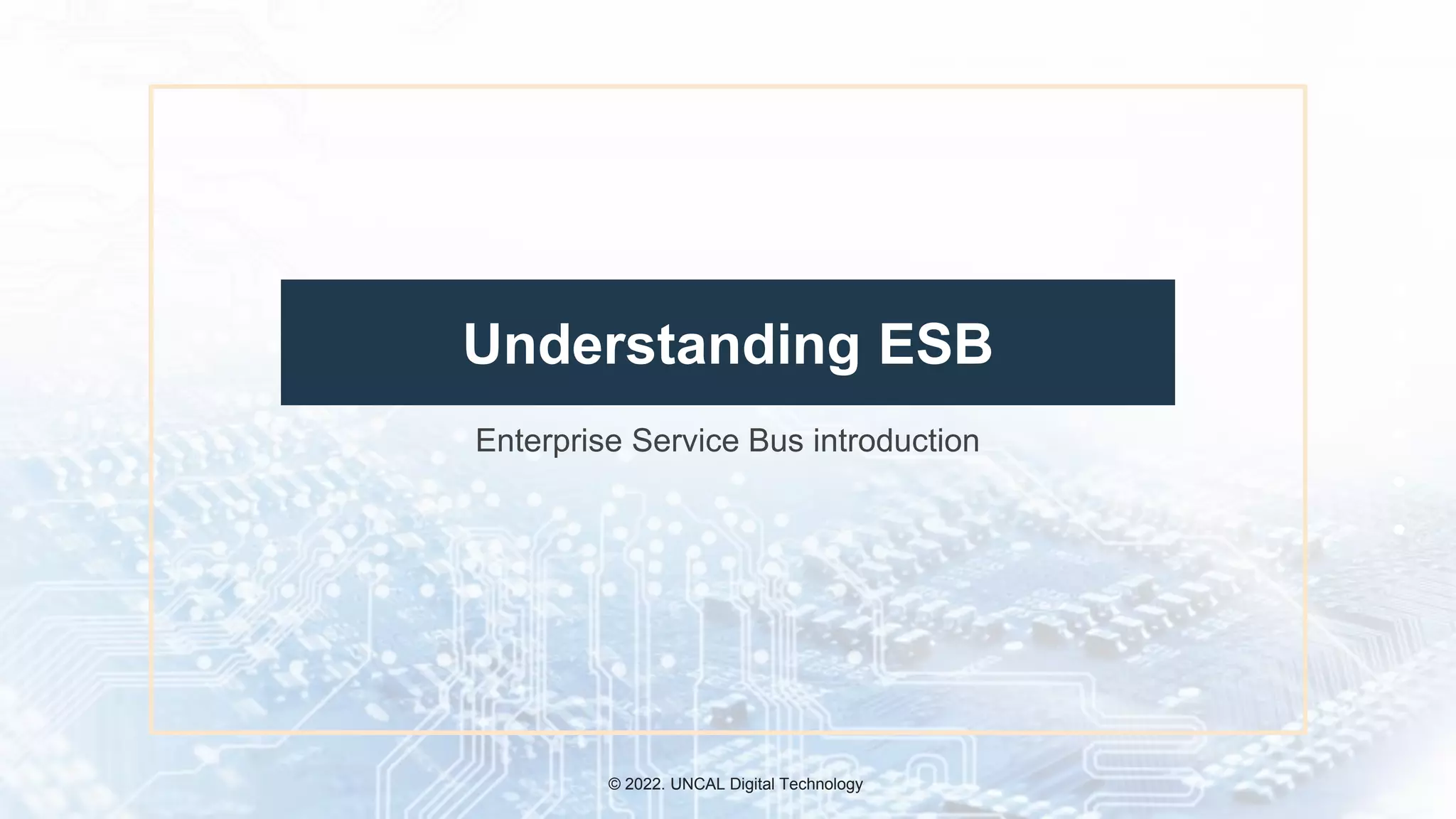 What is ESB (v2).pptx