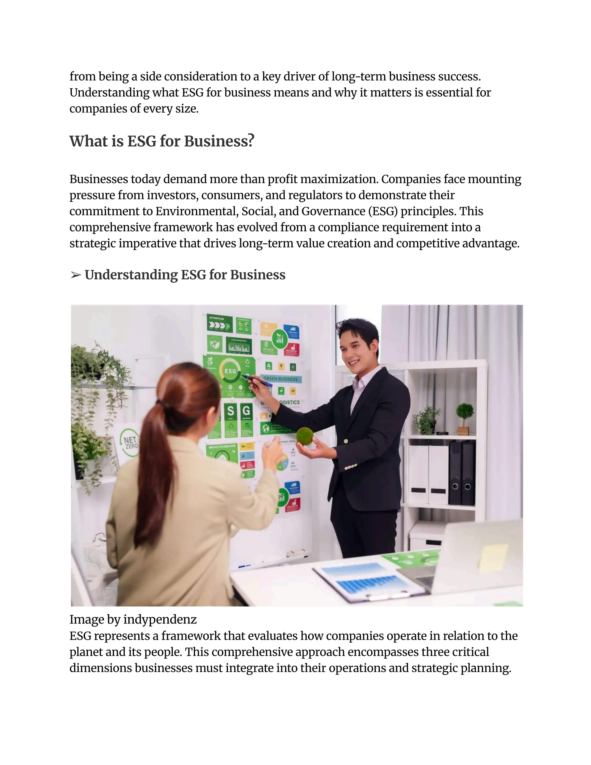 What is ESG for Business and How It Impacts Investments_.pdf