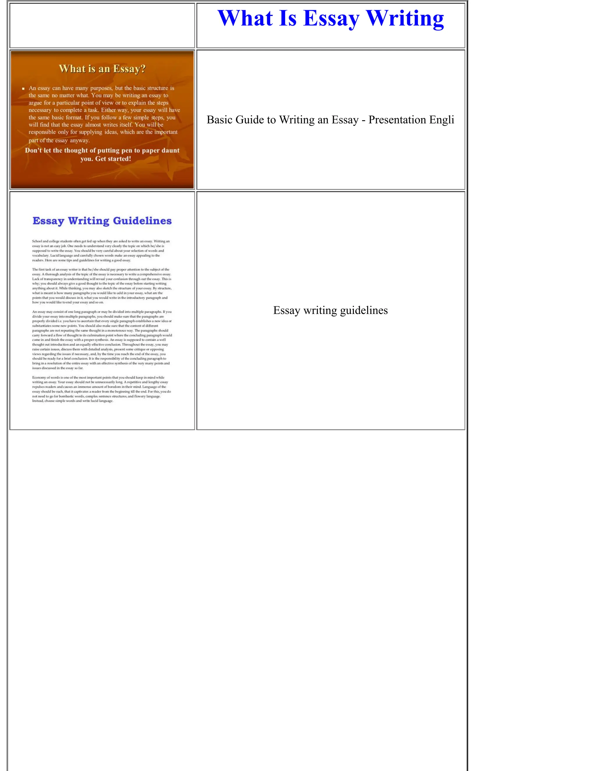 What Is Essay Writing | PDF