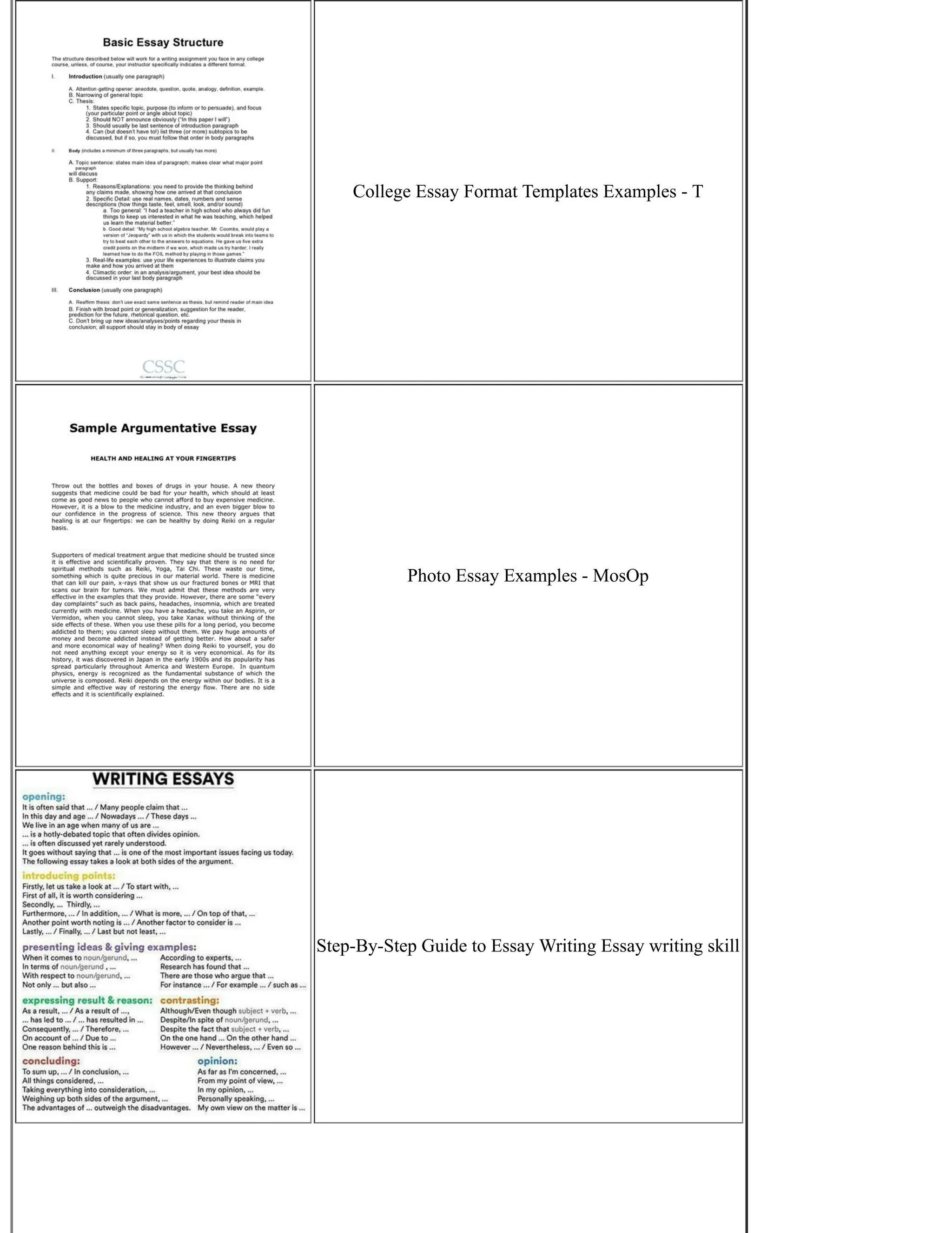 What Is Essay Writing | PDF