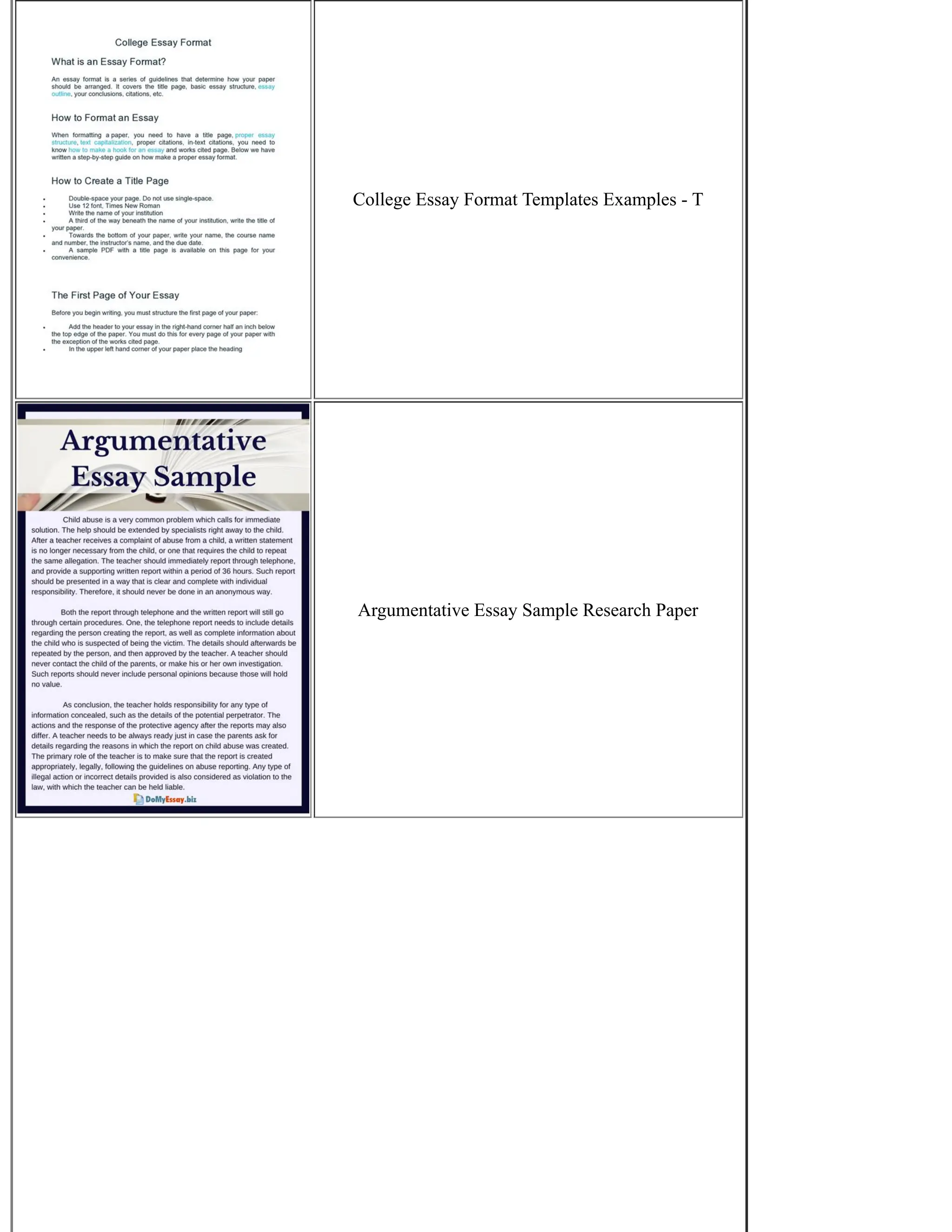 What Is Essay Writing | PDF