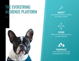 What is EverString? | PDF