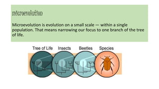 What is evolution | PPT