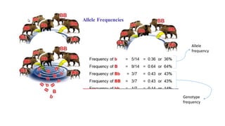 What is evolution | PPT