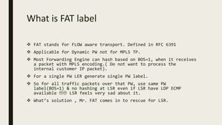 FAT label : RFC 6391 | PPT