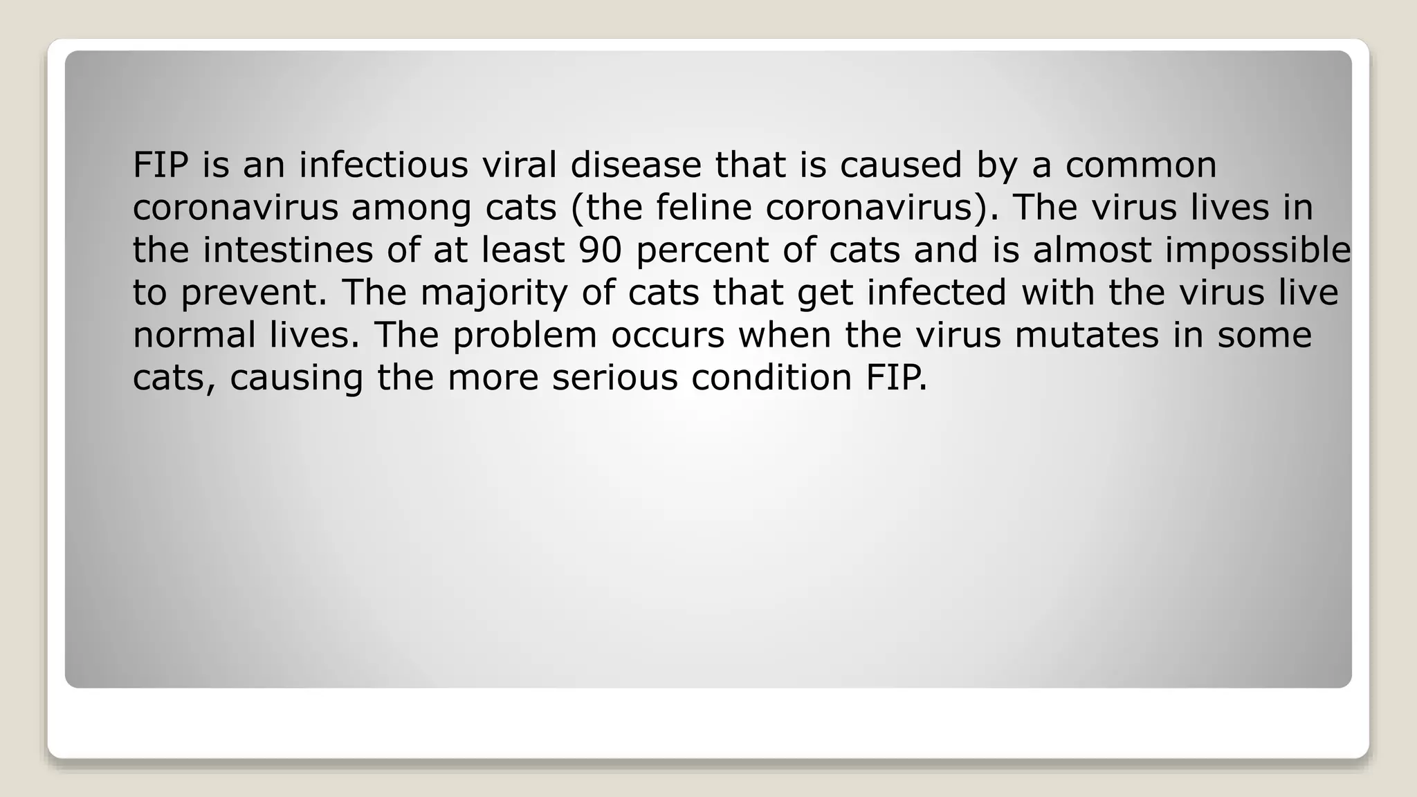 What Is Feline Infectious Peritonitis? | PPT