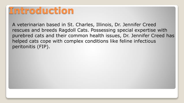 Feline Infectious Peritonitis Definition – JYZXLK