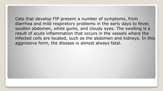 What Is Feline Infectious Peritonitis? | PPT