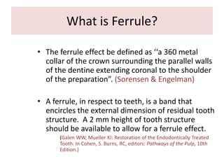 What is ferrule