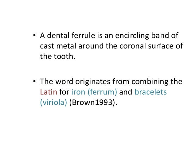 What is ferrule