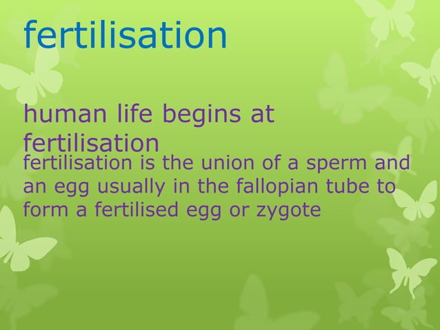 What is fertilisation | PPTX