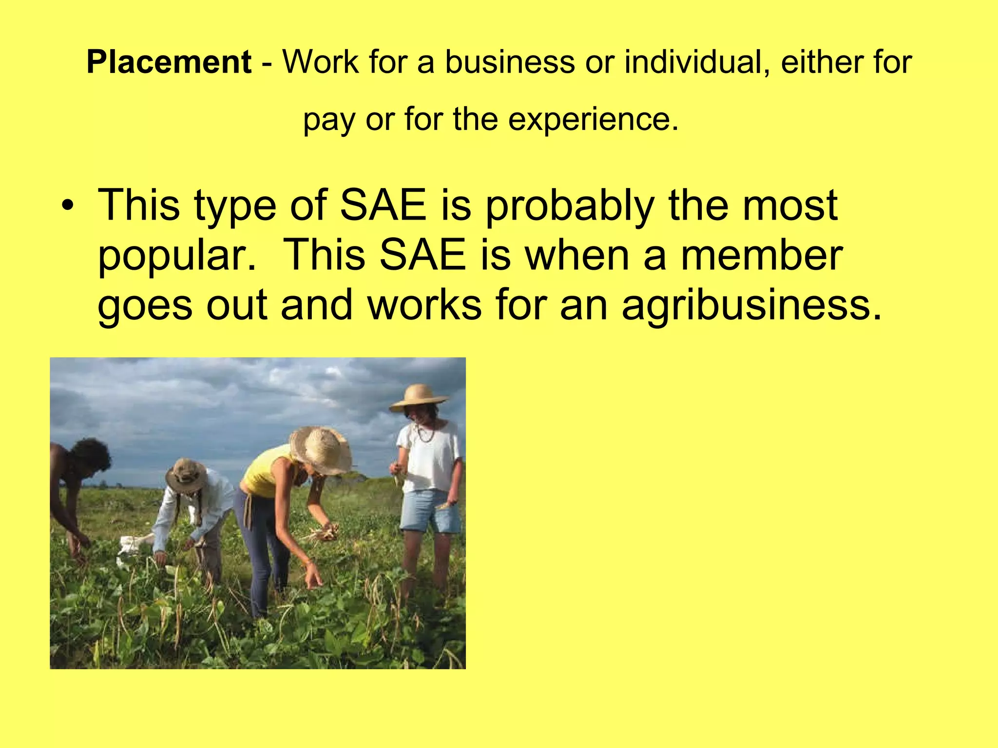 What Is FFA? | PPT
