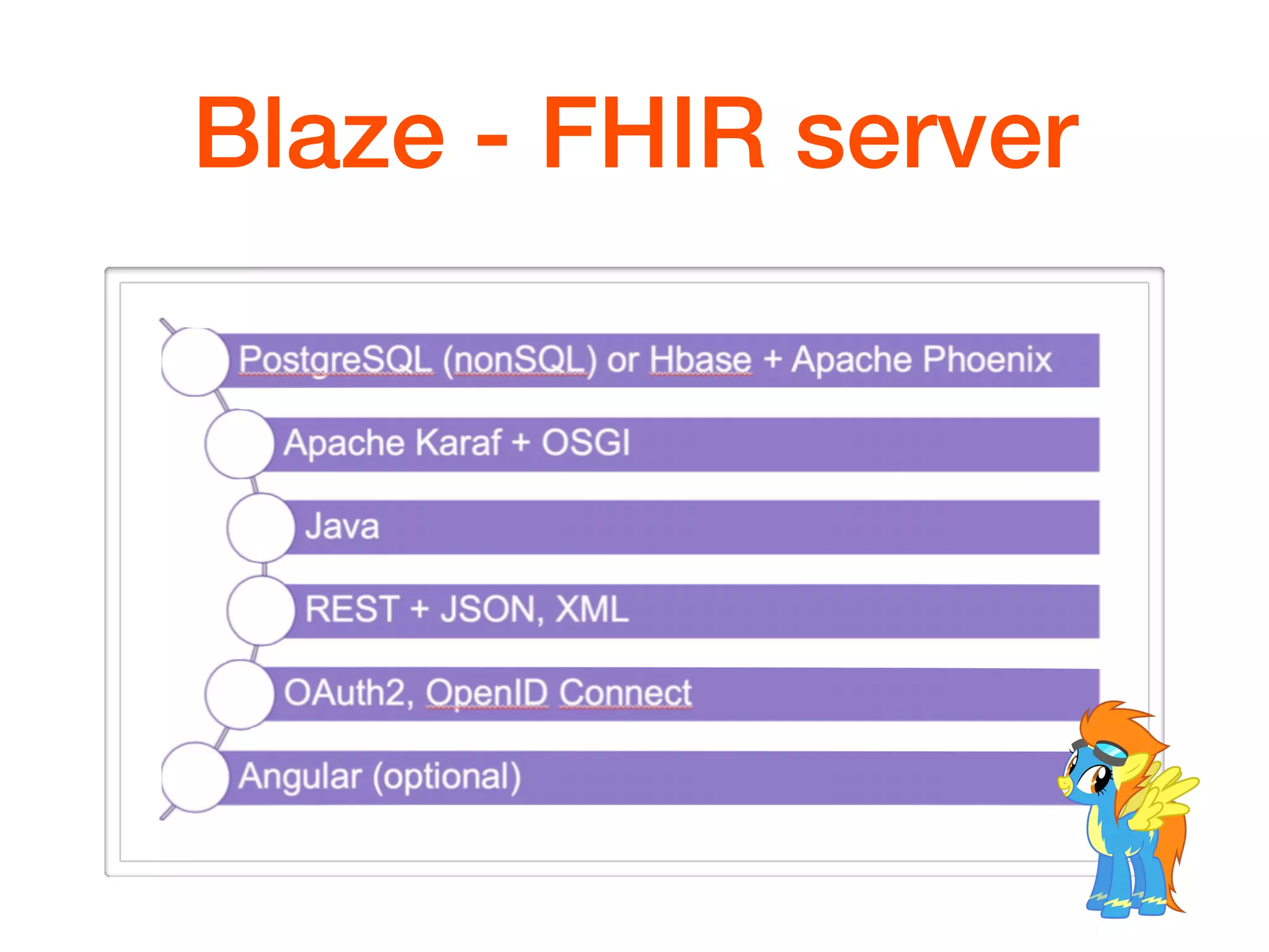 What is FHIR | PDF