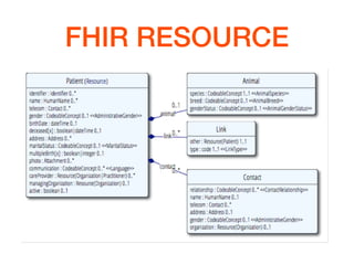 What is FHIR | PDF