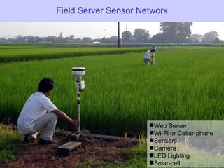 What Is Field Server | PPT
