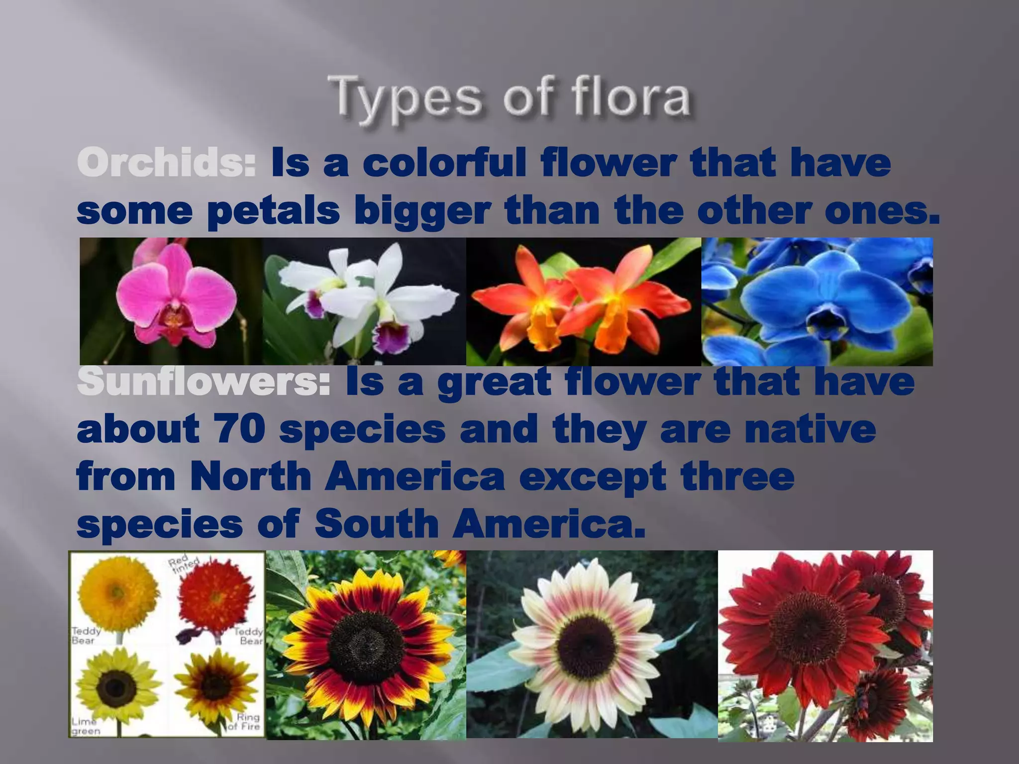 What is flora evaluation project | PPTX | Gardening | Home & Garden