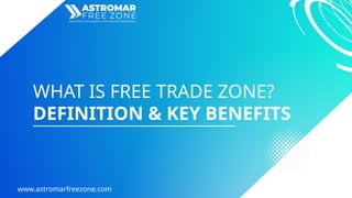 What is Free Trade Zone India - Definition & Key Benefits | PPTX