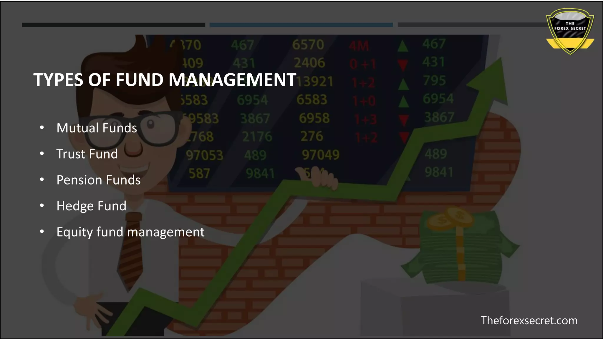What is fund management | PPTX