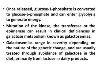 What is galactosemia | PDF | Digestive Disorders | Diseases and Conditions
