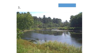 What is Geography and the types of geography - Physical, Human and ...