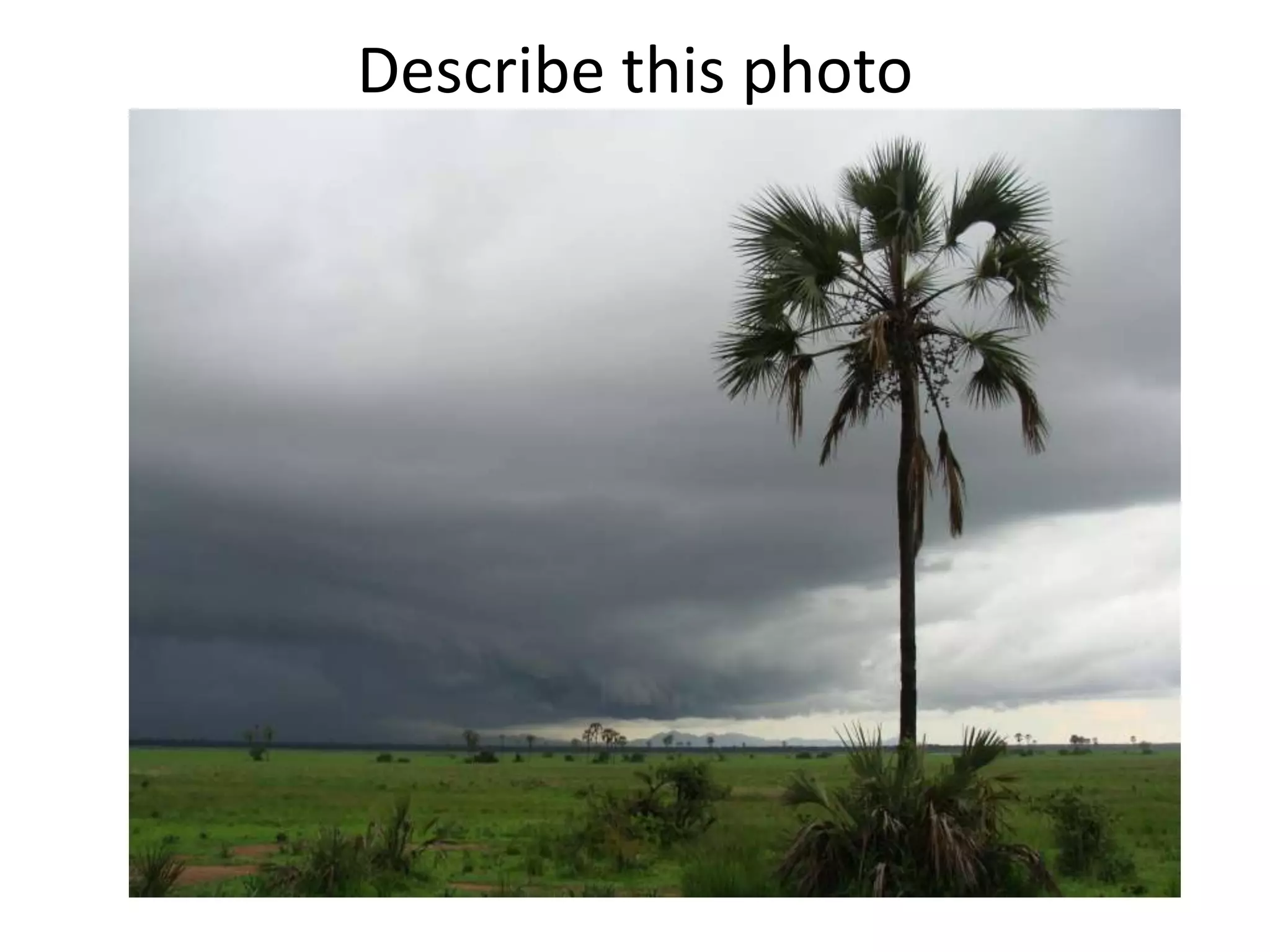 What is geography? | PPTX