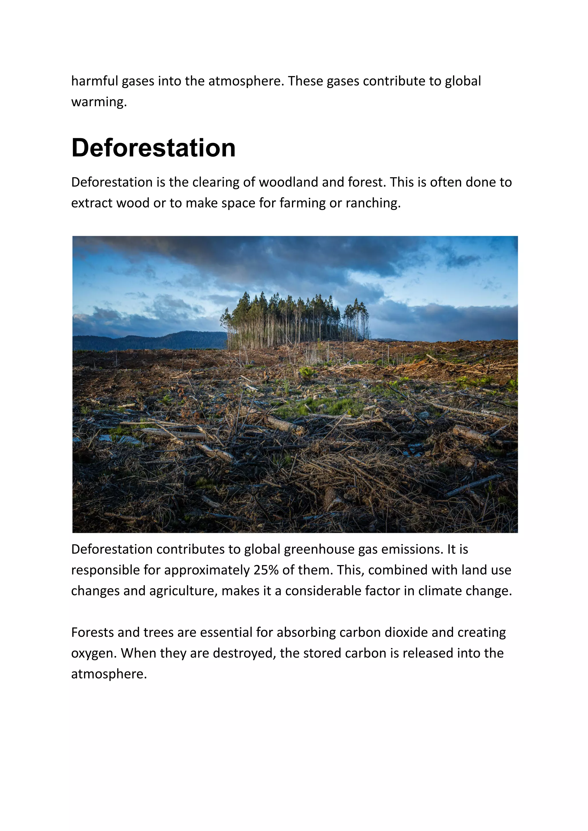 What Is Global Warming.pdf