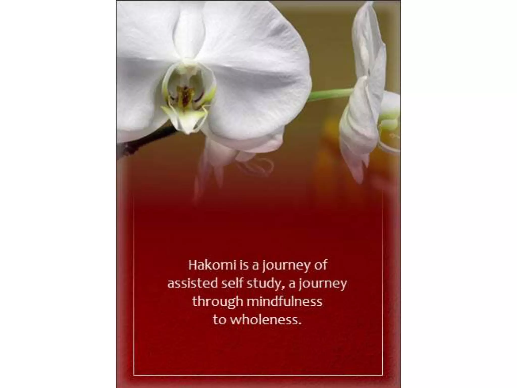 What is hakomi | PPTX