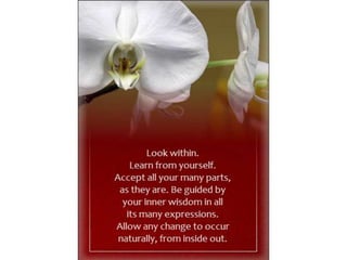 What is hakomi | PPTX