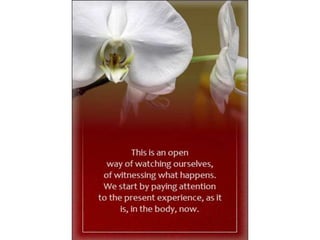 What is hakomi | PPTX