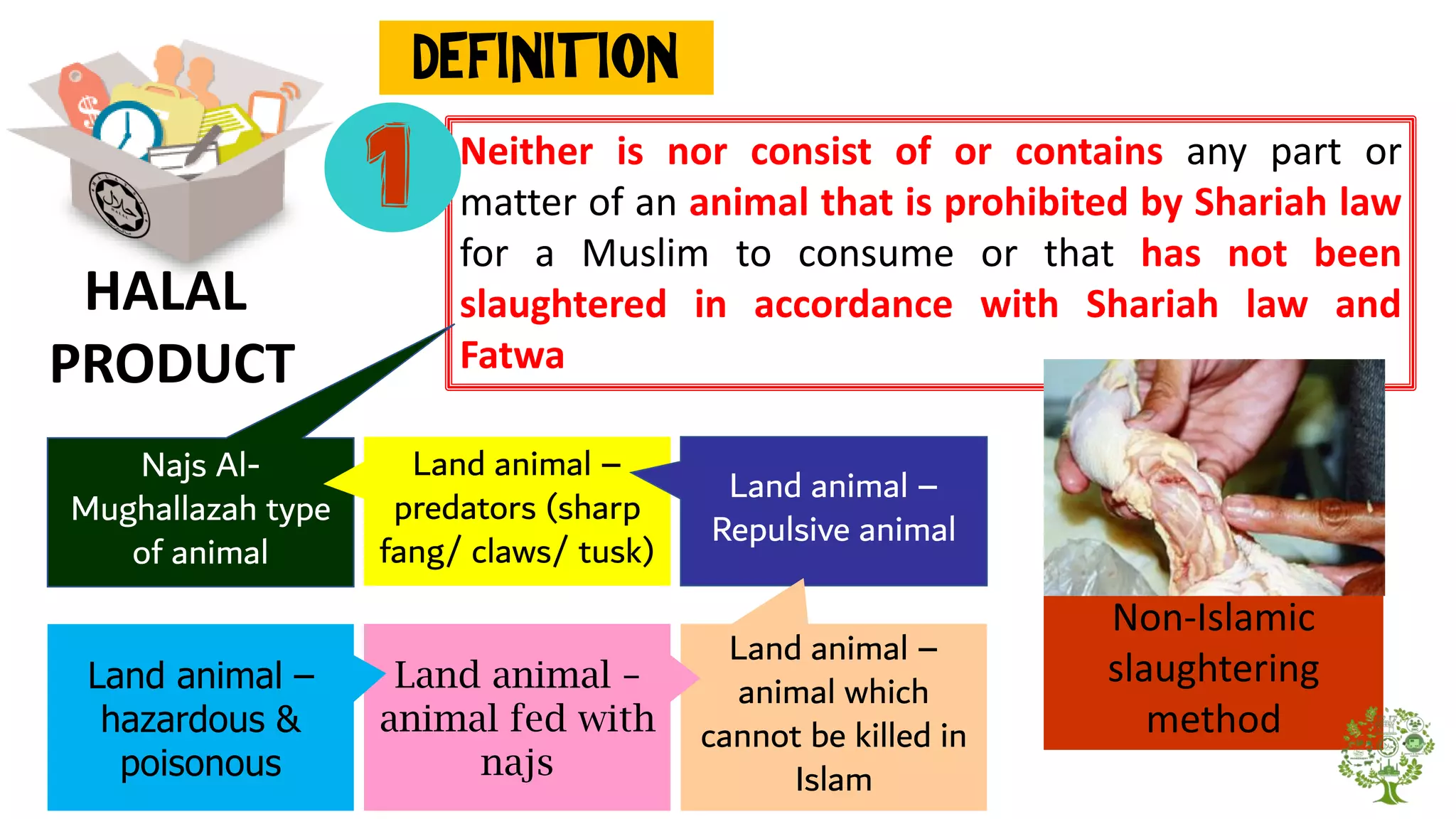 What is halal products? | PDF