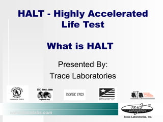 What is HALT? | PPT