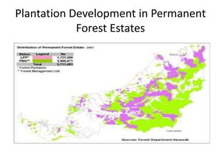 What is happening to our forests in Malaysia? | PPT