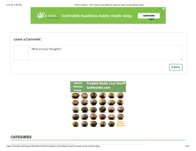 The Hash Guide - What Are the Different Types of Hash