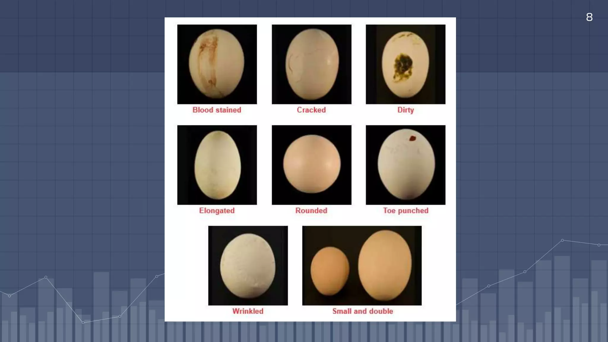 What is hatchery? Hatchery Design. | PPTX