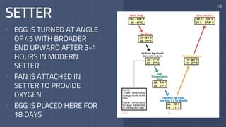 What is hatchery? Hatchery Design. | PPTX