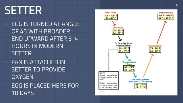 What is hatchery? Hatchery Design. | PPTX
