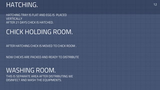 What is hatchery? Hatchery Design. | PPTX