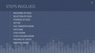What is hatchery? Hatchery Design. | PPTX