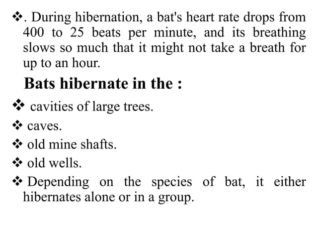 What is hibernation | PPTX | Lung and Respiratory Health | Diseases and ...