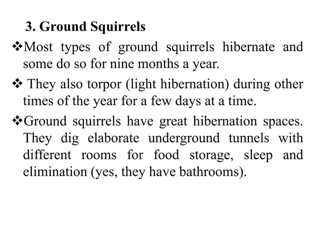 What is hibernation | PPTX | Lung and Respiratory Health | Diseases and ...