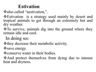 What is hibernation | PPTX
