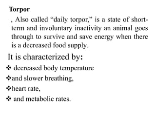 What is hibernation | PPTX