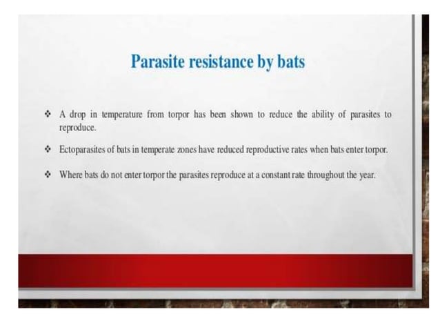 What is hibernation | PPTX | Lung and Respiratory Health | Diseases and ...