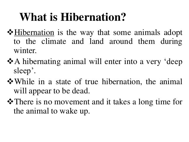 What is hibernation