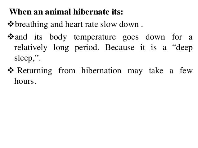 What is hibernation