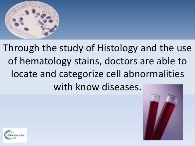 Histology Meaning