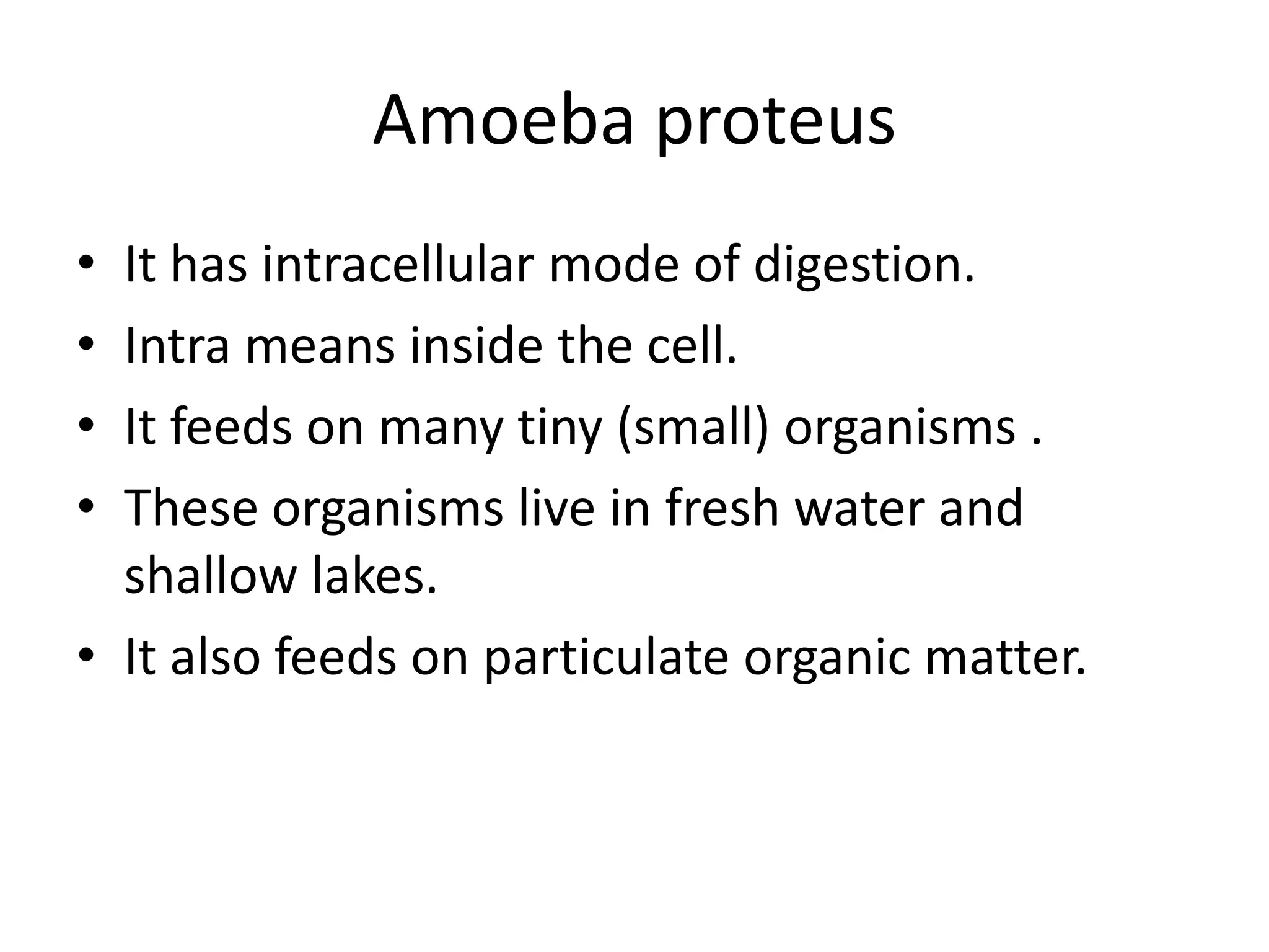 What is holozoic nutrition | PPTX