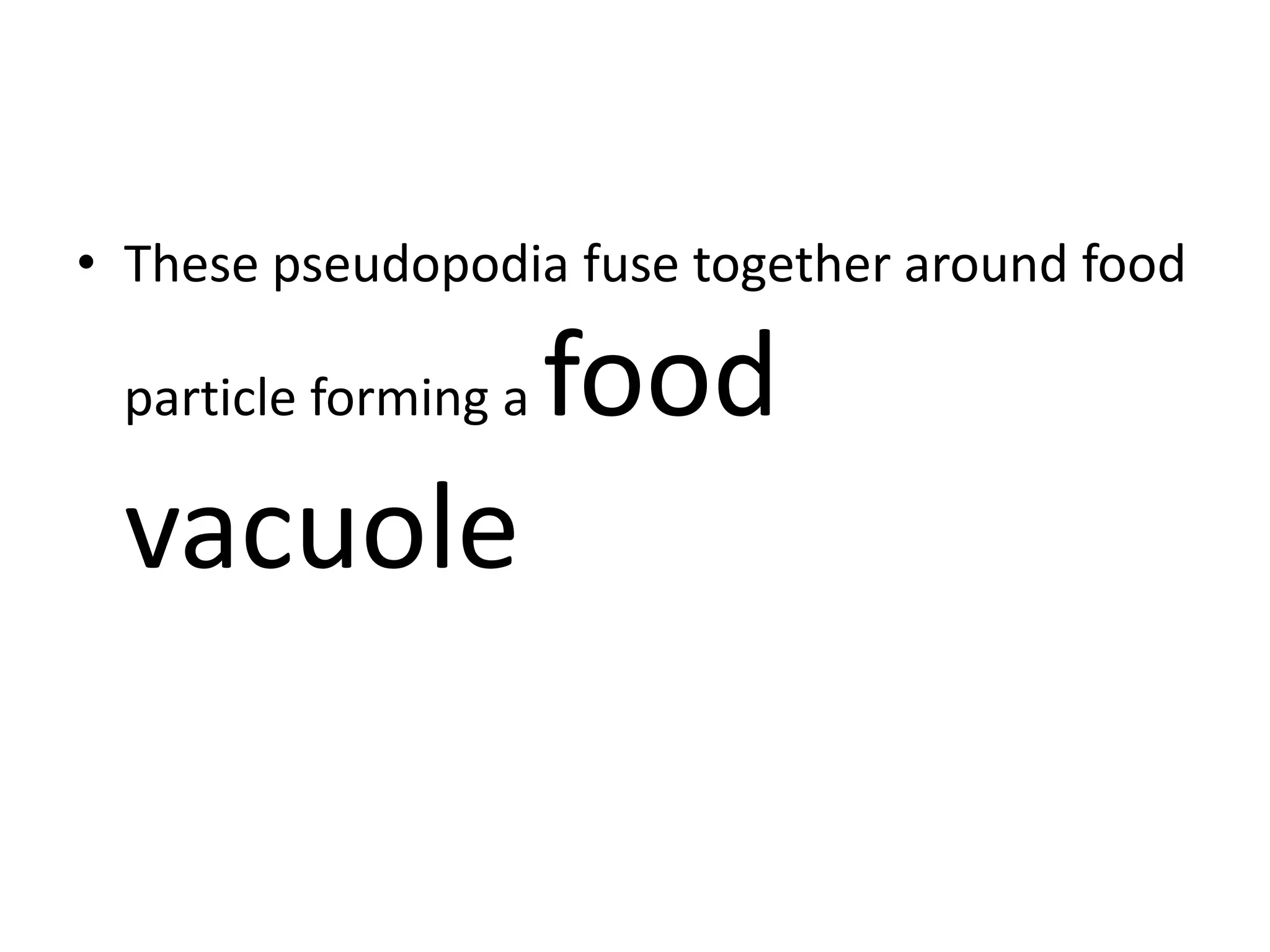 What is holozoic nutrition | PPTX