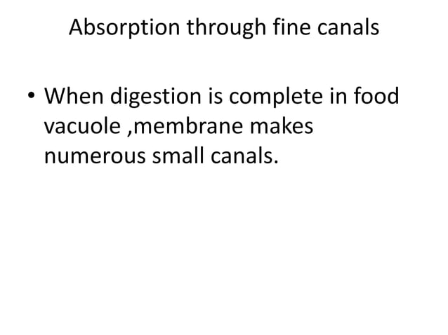 What is holozoic nutrition | PPTX | Nutrition | Healthy Living